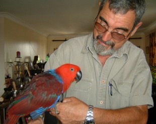 Bird Whisperer | Services